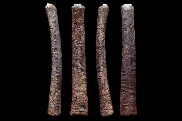 7 Things You Would Have Learned If You Read ‘Blacks in Science’ by Ivan ...