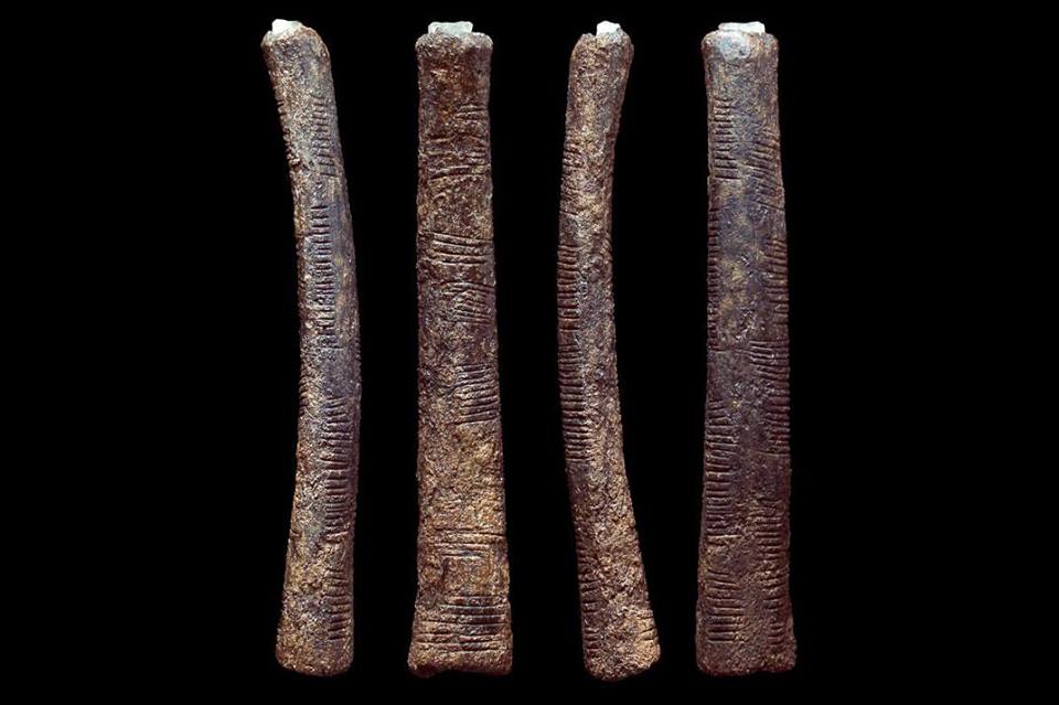 7 Things You Would Have Learned If You Read ‘Blacks in Science’ by Ivan ...